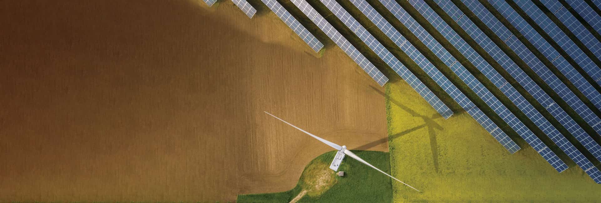 Masdar | Masdar Global Impact