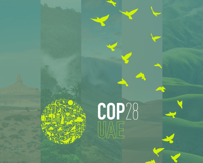 Masdar | Masdar at COP28